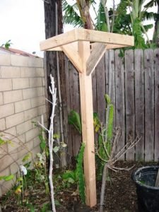 How to make a dragon fruit trellis at home?